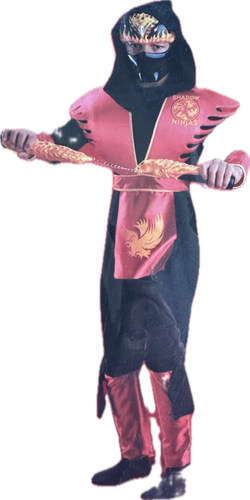 4pc Phoenix Shadow Ninja Deluxe MASK Kung Fu Halloween Costume Child L ...