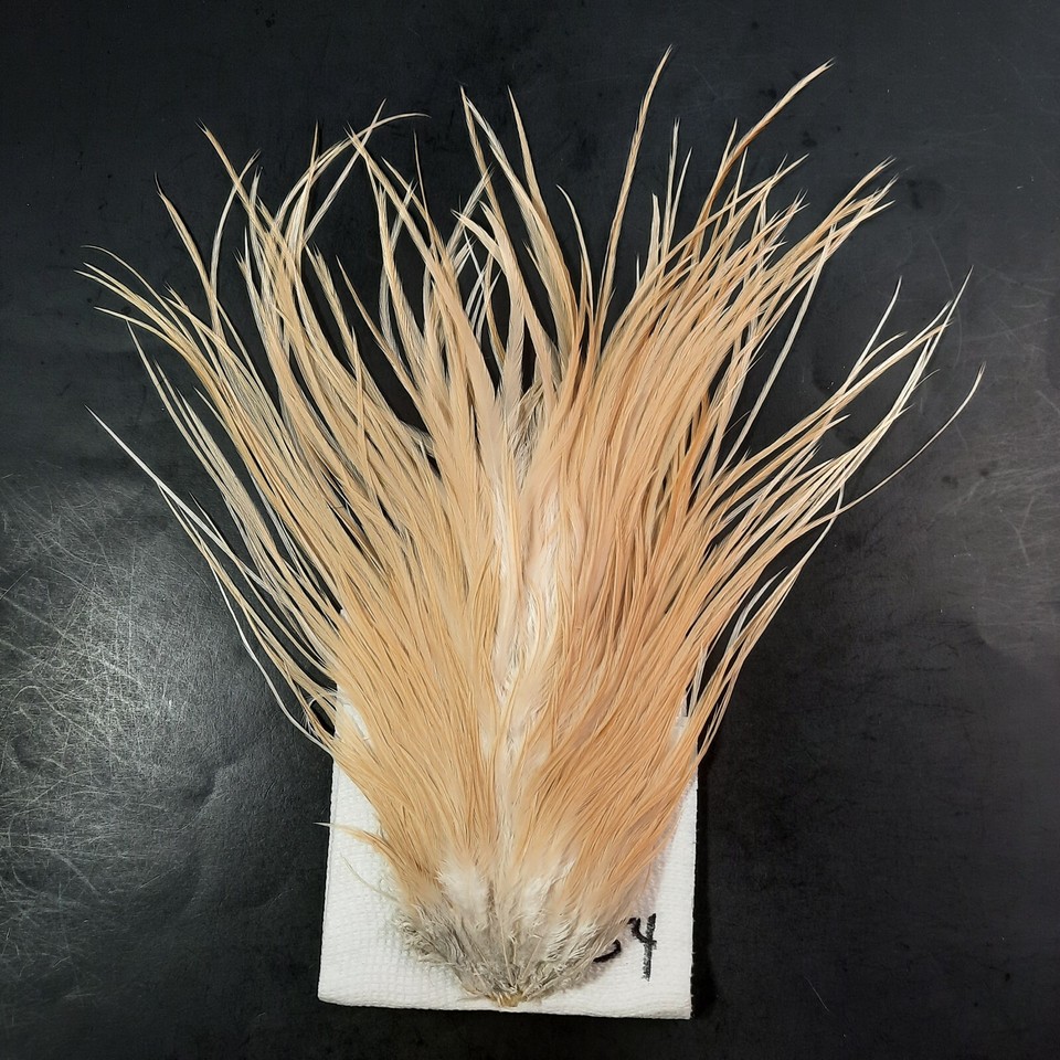 Light Ginger ROOSTER SADDLE HACKLE DRY FLY TYING FEATHERS #54 | eBay