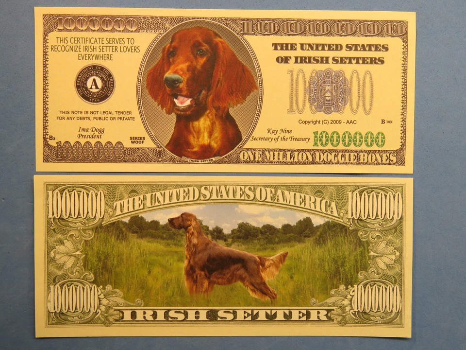 4 Bills: IRISH SETTERS Dog Lovers Unite; Kay Nine $1,000,000 One ...