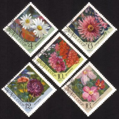 Flowers: Daisy, Dahlia, Phlox, Aster, Clementis - Cplt Set of 5 Diff ...