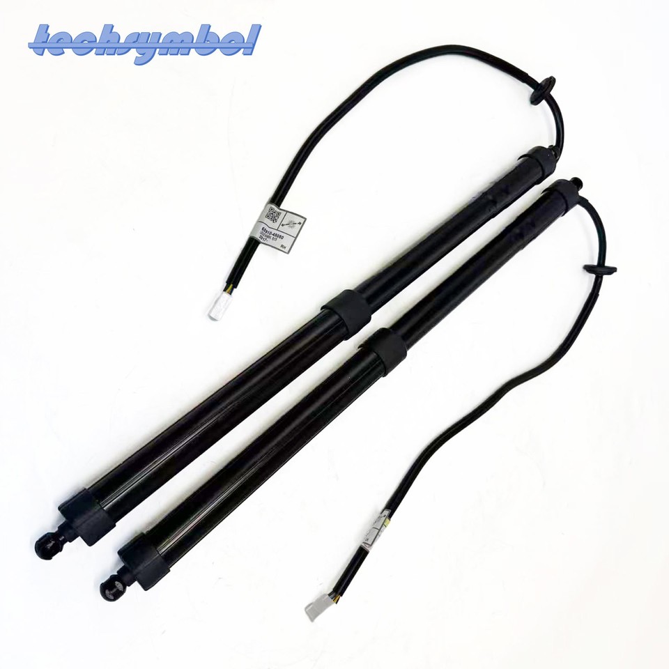 2Pcs Brand New REAR GATE LIFTGATE TRUNK STRUT for LEXUS 2018-2022 RX ...