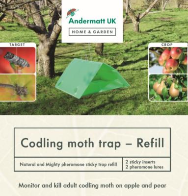 Codling Moth Pheromone Trap Refill For Apple and Pear - Andermatt Home ...