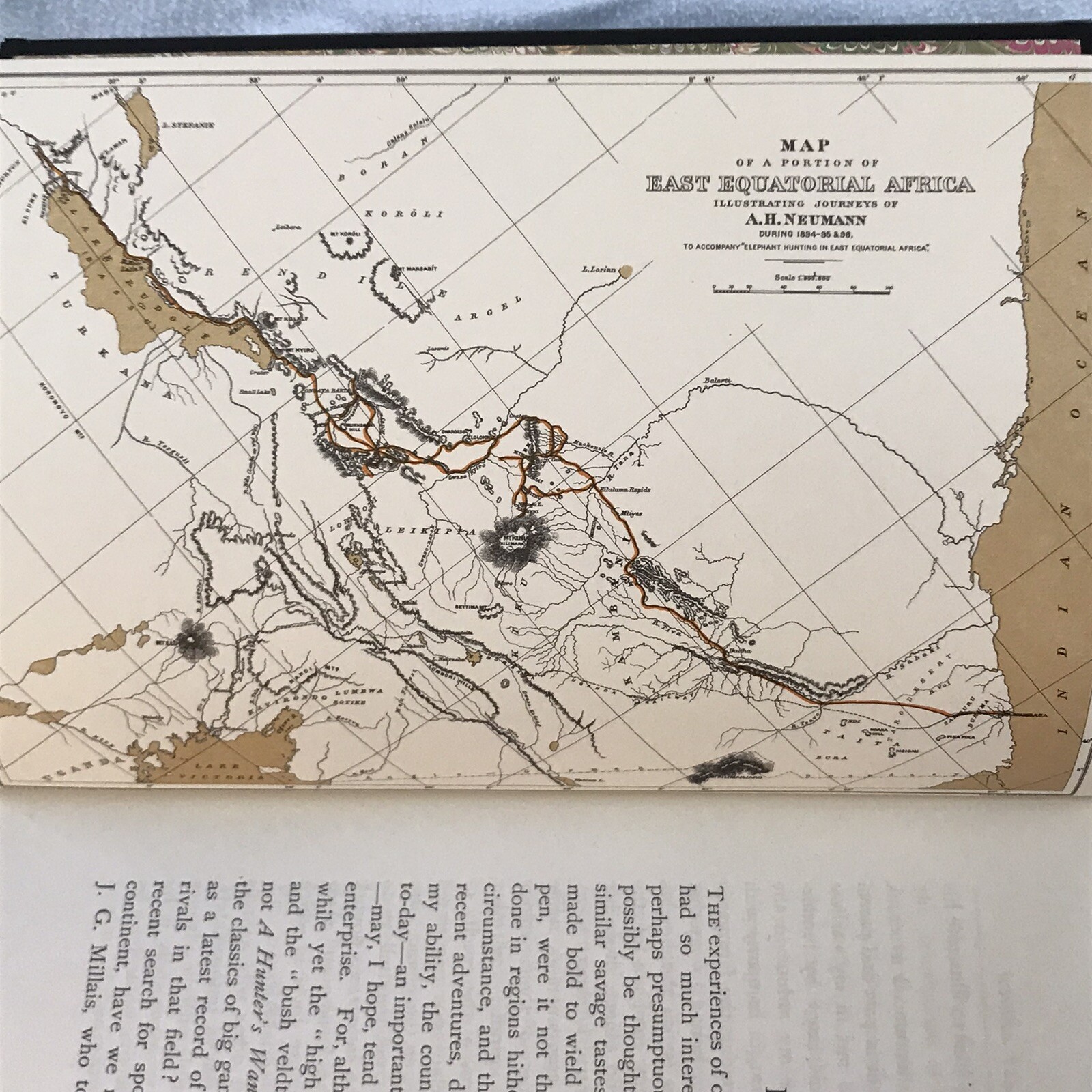 ELEPHANT HUNTING IN EAST EQUATORIAL AFRICA by ARTHUR NEUMANN | eBay