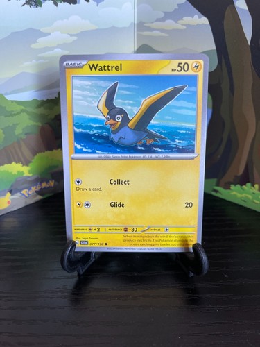 Wattrel 077/198 - Scarlet & Violet - Common - Pokemon Card TCG - LP | eBay
