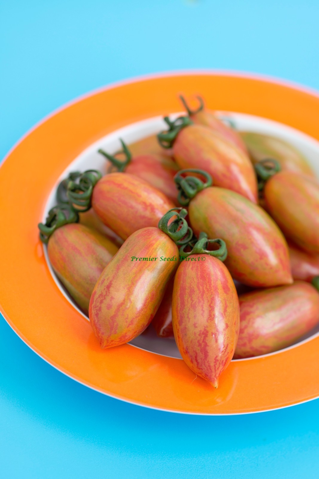 TOMATO CHERRY ARTISAN PINK TIGER 10 FINEST SEEDS | eBay