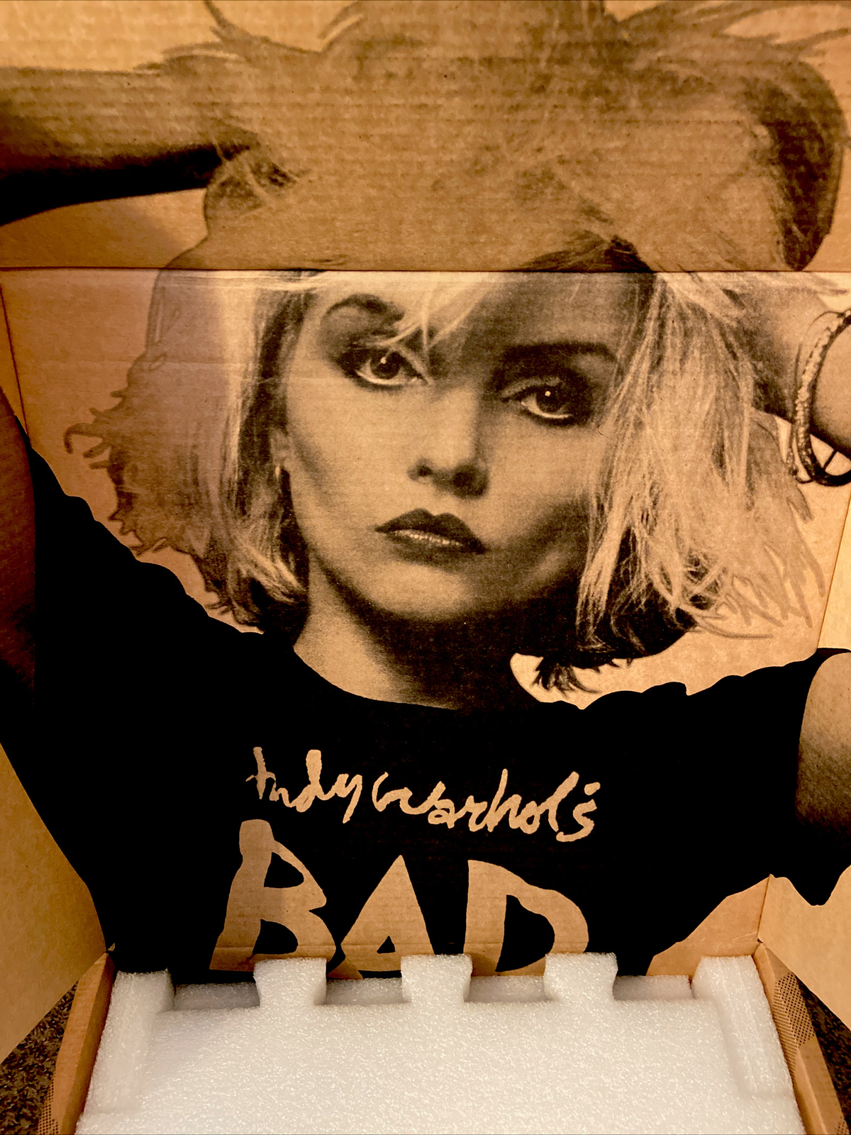 BLONDIE Against The Odds 1974-1982 Box Set /500 Super Deluxe Platinum ...