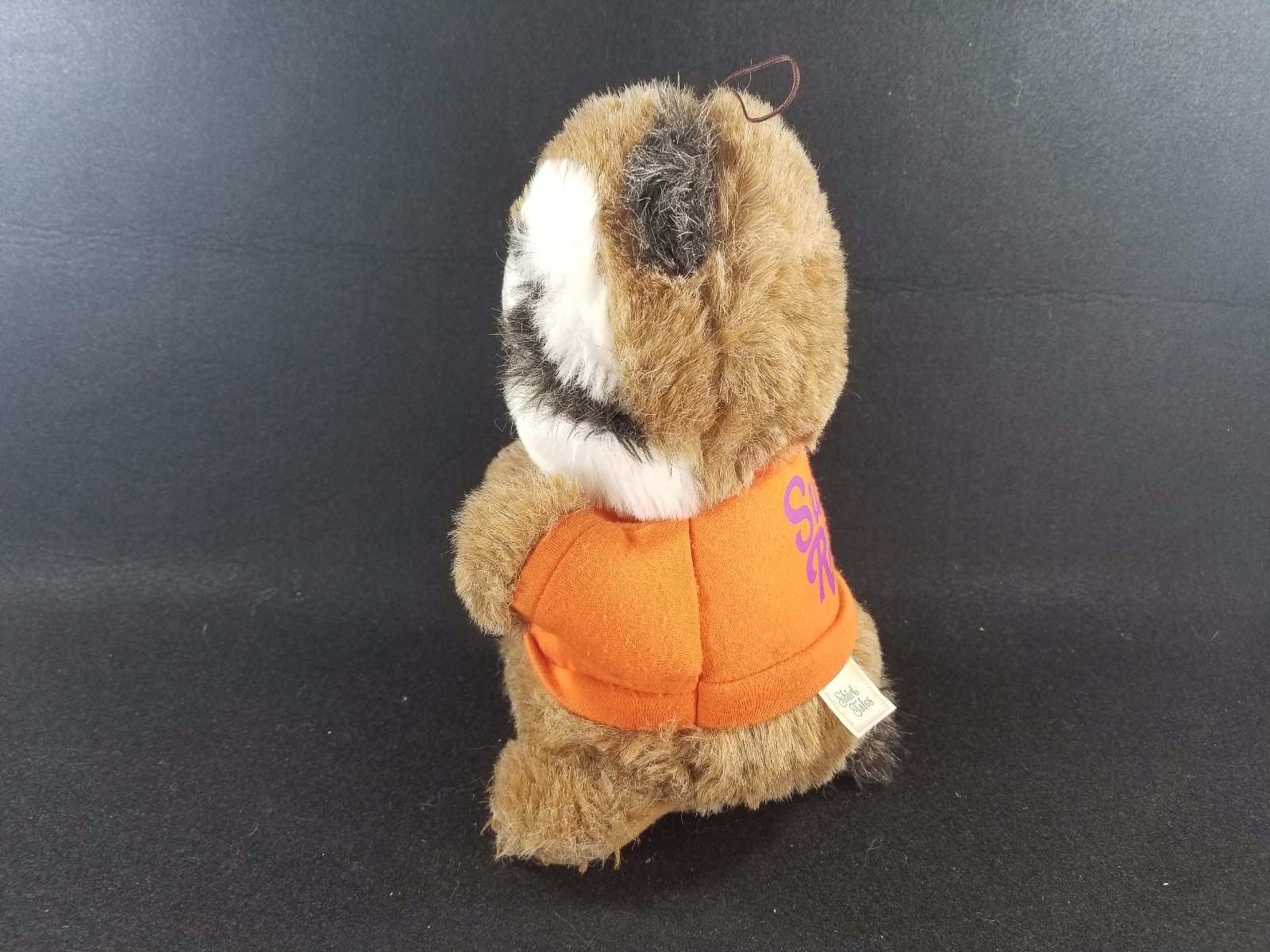 Hasbro Shirt Tales RICK RACCOON Super Rascal Large Plush Stuffed Animal ...