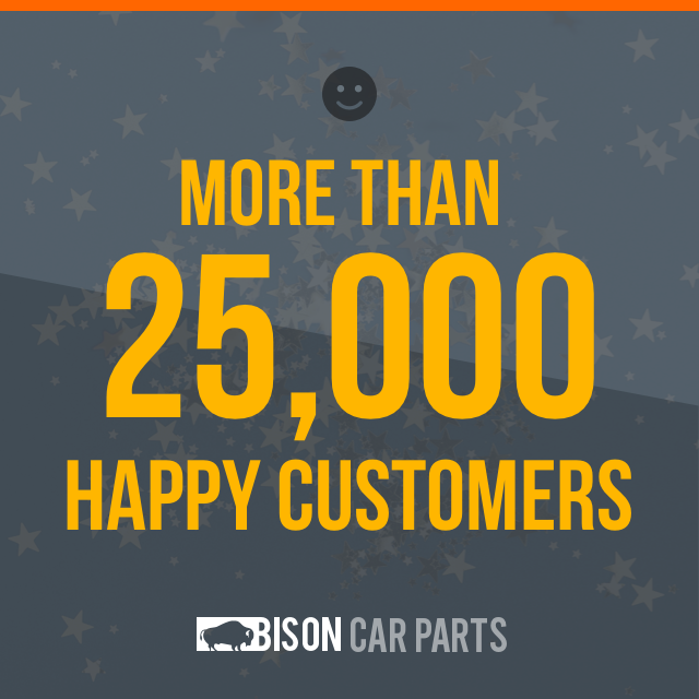 Fits Renault Clio 2013-2019 Front Wing Driver Side RH 631000266R ...