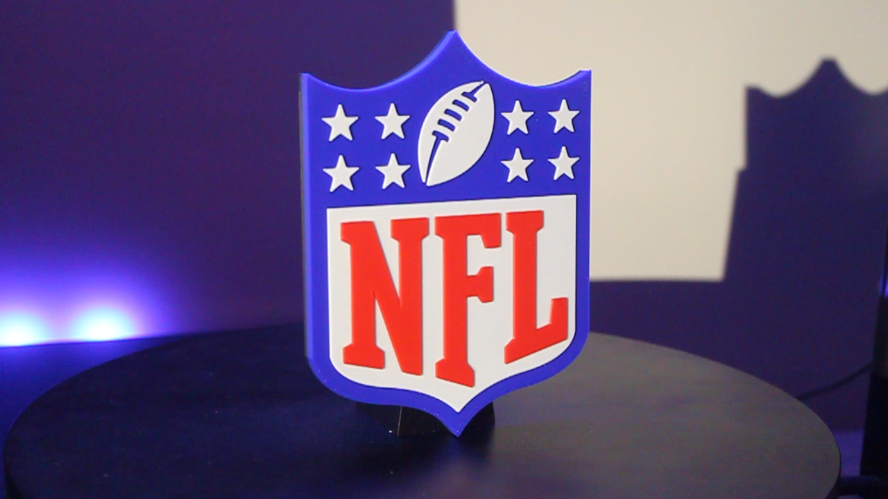 NFL, National Football League 3D printed Logo Sign Wall Desk Shelf Art ...