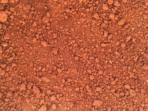 DIRT RED NORTH CAROLINA CLAY SOIL 2 LBS Home & Garden Gardening Supplies