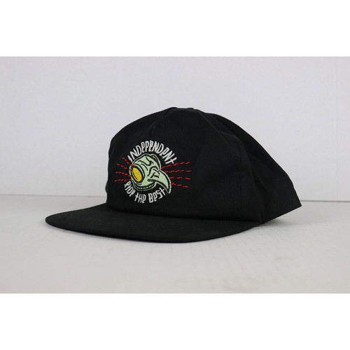 LIGHTLY WORN Independent Trucks Hat Tony Hawk Transmission Snapback ...