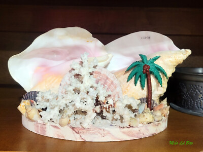 Seashell Centerpiece Entryway Conch Shell Coastal Art Table Decor | eBay