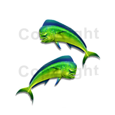 Mahi Mahi Dolphinfish Outdoor Sticker Decals - Adhesive Vinyl Mirrored ...