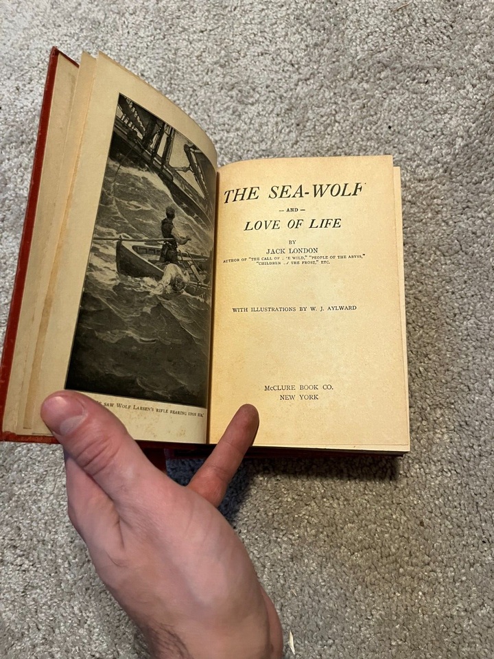 The Sea Wolf by Jack London 1916 McClure Book Co 2 TWO volumes W. J ...