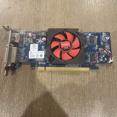 AMD RADEON C264 1 GB Low Profile Graphics Card | eBay Australia