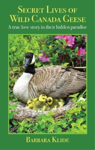 Barbara Klide Secret Lives of Wild Canada Geese (Relié) 9781736547540 ...