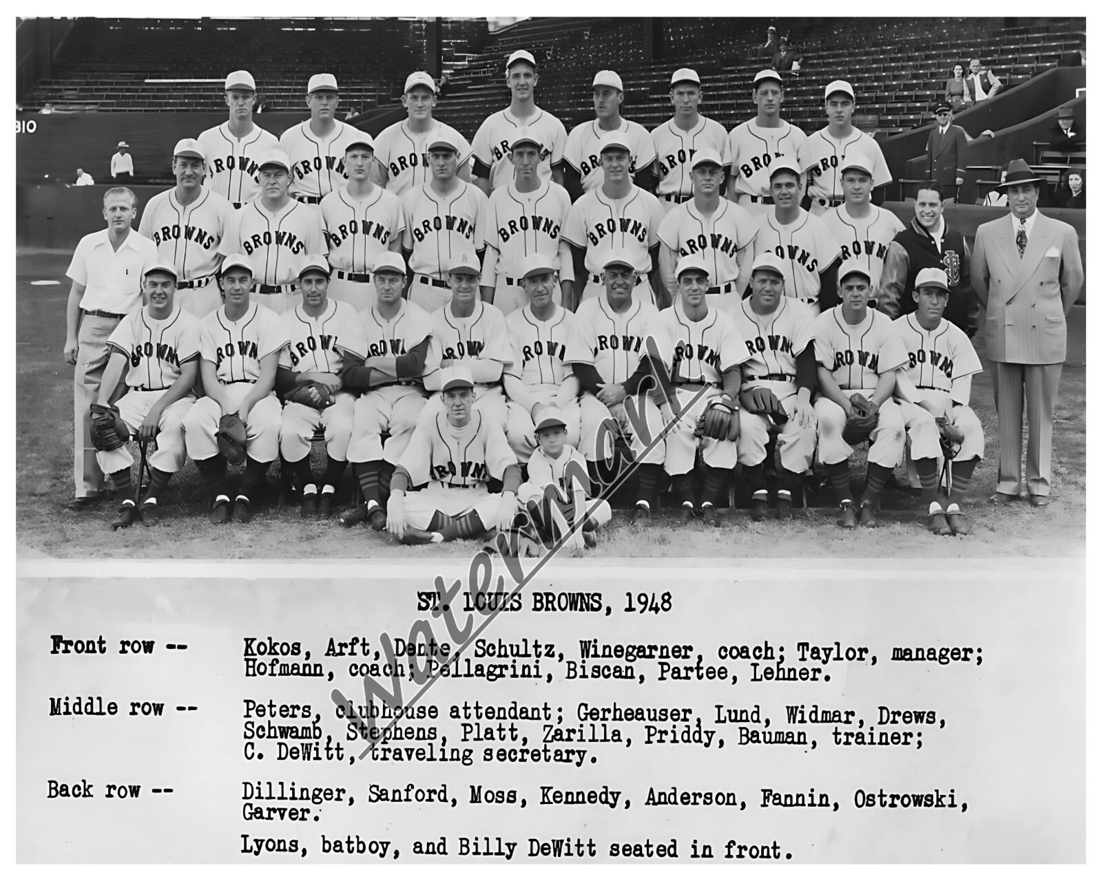 MLB 1948 St. Louis Browns Team Picture with Names 8 X 10 Photo Picture ...