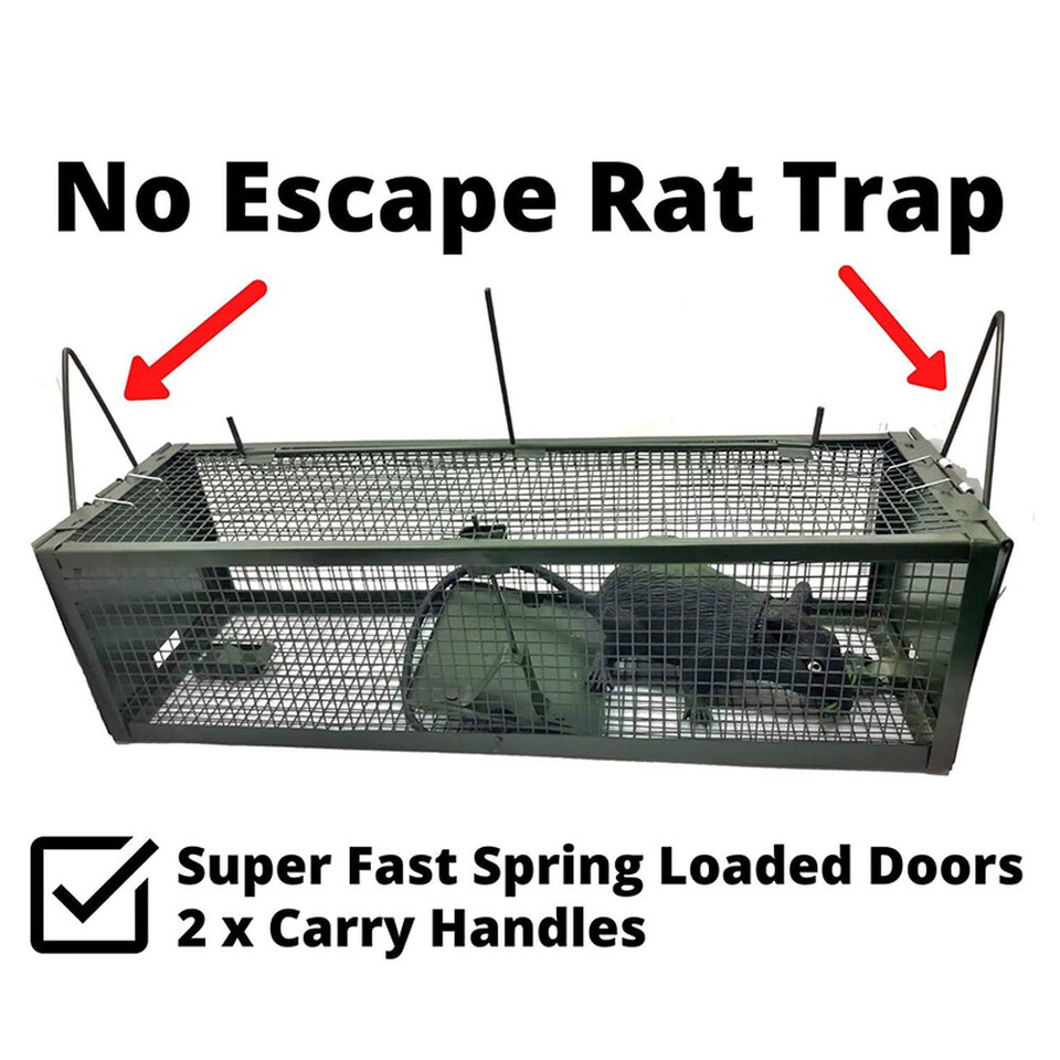 Mouse Rat Trap Squirrel Trap Heavy Duty Humane Live Vermin Pest Animal ...