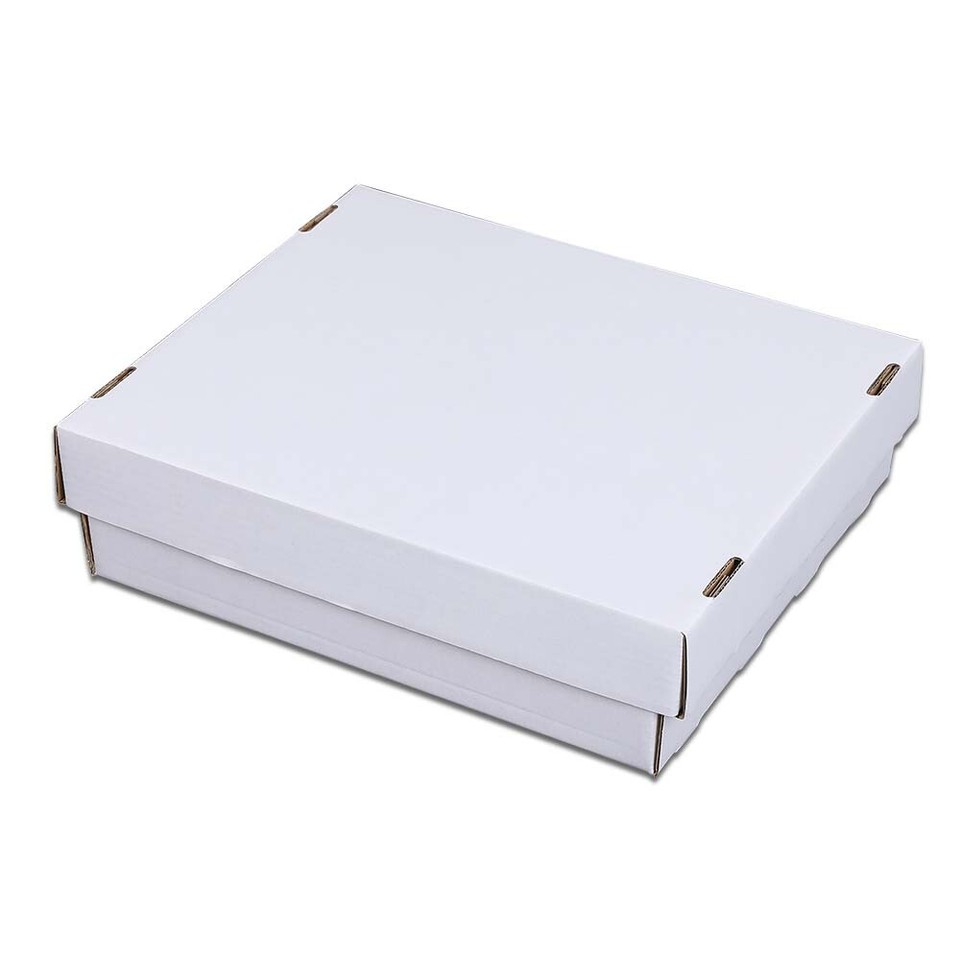 3200 COUNT CORRUGATED CARDBOARD TRADING CARD BASEBALL COIN SLAB STORAGE ...