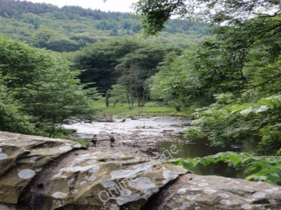 Photo 6x4 River Taff at Pontygwaith Abercynon 1811 Bridge over the ...