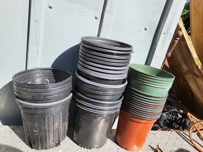 6 inch or Gallon Nursery Pots Vegetable Garden Pepper Herbs at least 12 ...