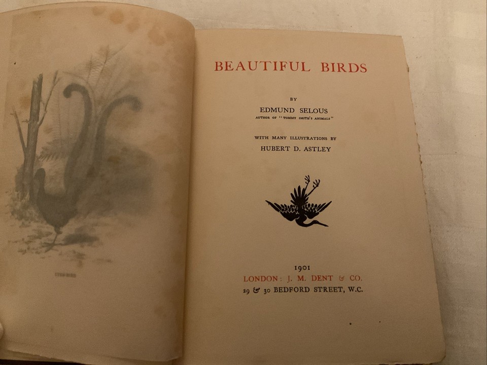 Beautiful Birds By Edmund Selous (hardback 1901). | eBay UK