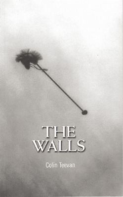 Walls by Colin Teevan (2001, Trade Paperback) for sale online | eBay