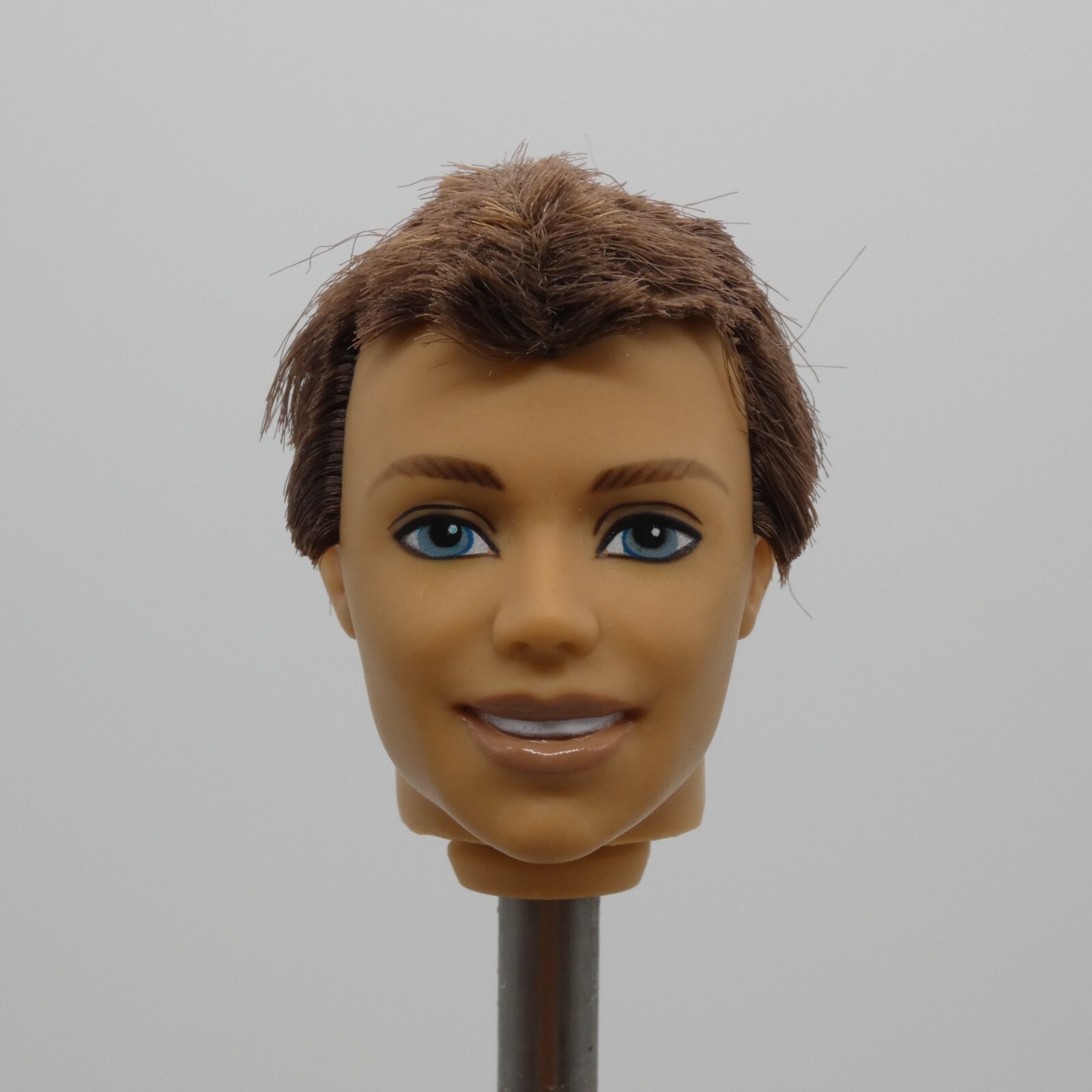 Barbie Magic of Pegasus Prince Aidan Ken Doll Head Rooted Brown Hair ...