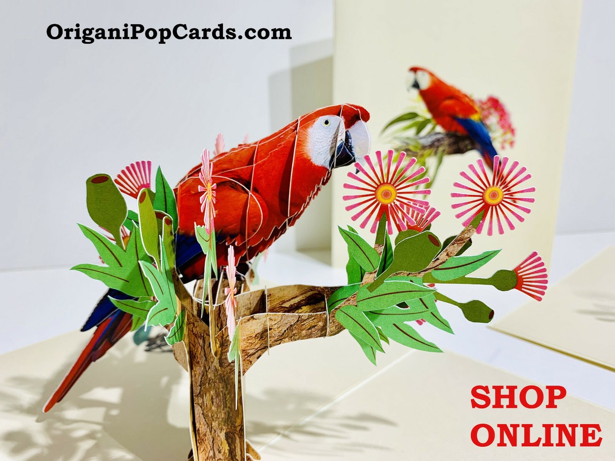 Origami Pop Up Bird Card Bird Beak Origami Pop Up Card