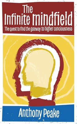 The Infinite Mindfield: A Quest to Find the Gateway to Higher ...