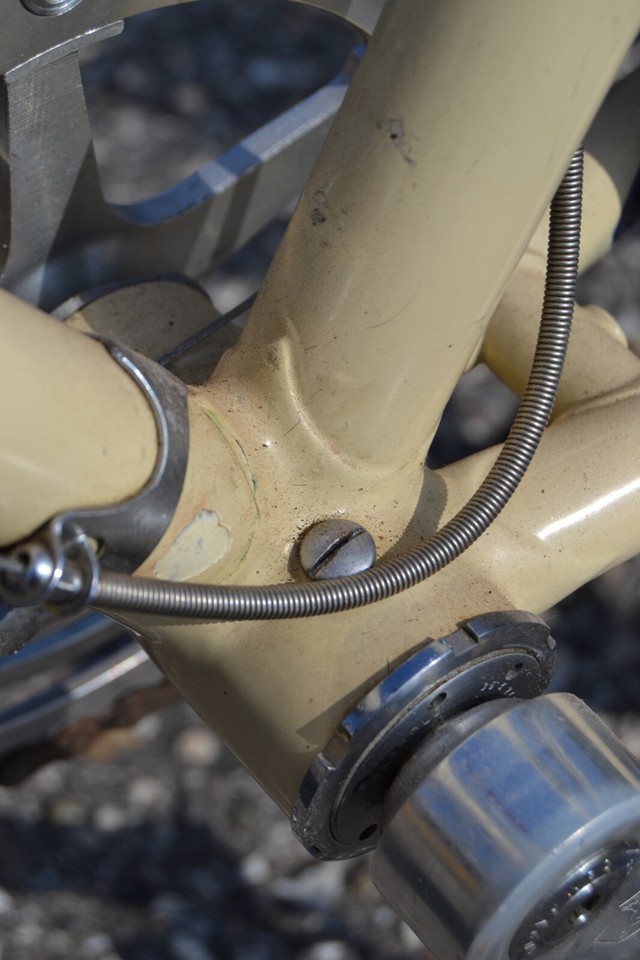 Vintage Classic Italian Race Bike Pinarello Cinelli SC Campagnolo ...