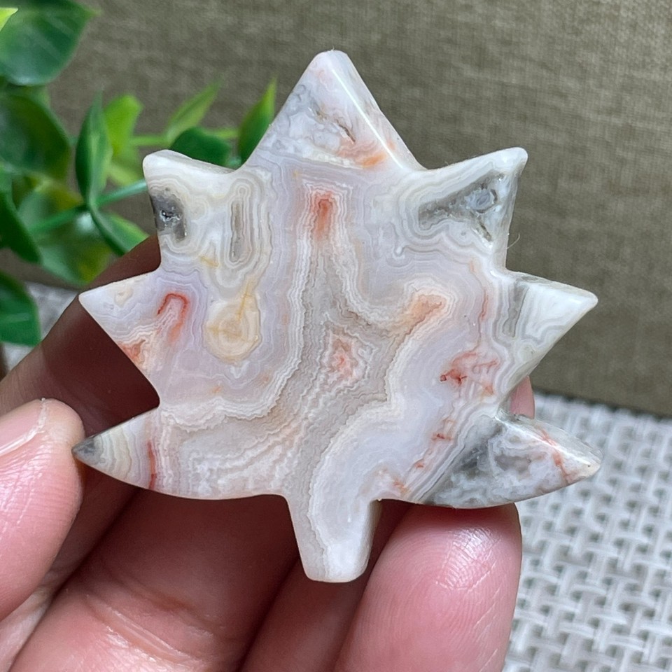 Crazy Mexican Lace stone Carved Maple leaf Polished original specimen ...