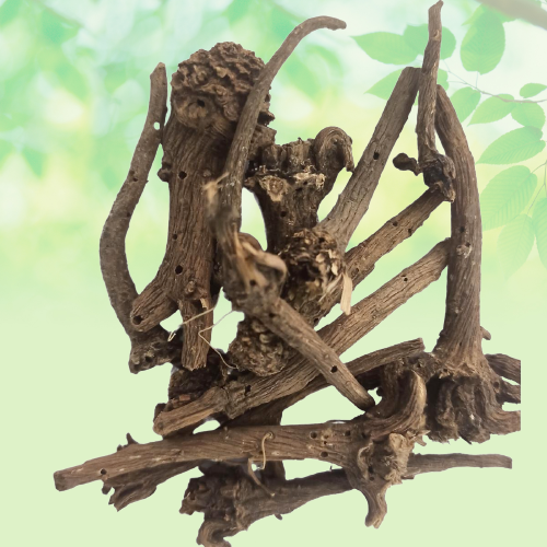 Anacyclus Pyrethrum-Raw Herbs-Jadi Booti-Pellitory Roots-Akarkara Roots ...