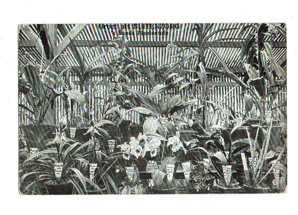 GANZSACHE #09 BUITENZORG BOGOR JAVA INDONESIEN 1913 n. BERLIN OTTO ELSE MALCHOW | eBay