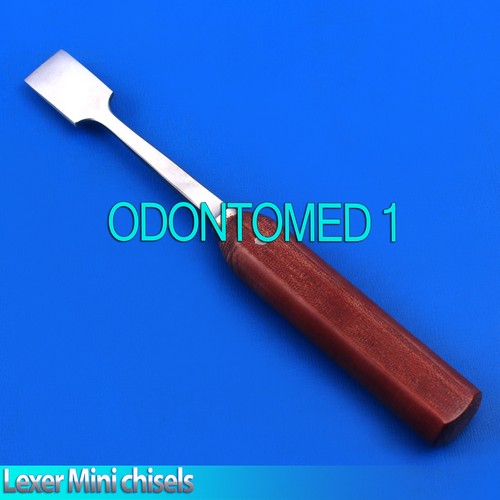 Lexer Bone Chisels 5mm Veterinary Orthopedic Instrument | eBay