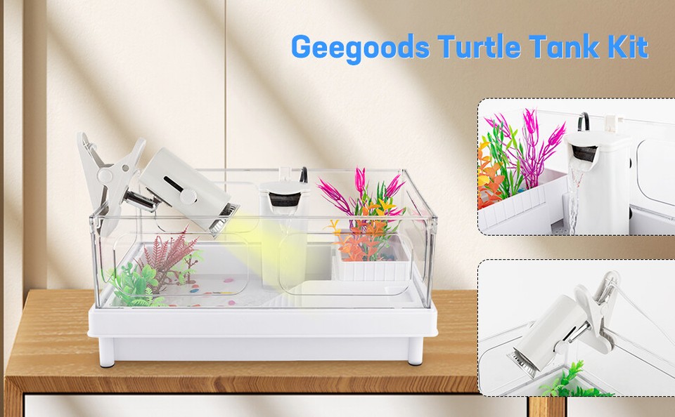 Small Turtle Tank Kit - Turtle Aquarium with Light Filter Rocks Brush ...