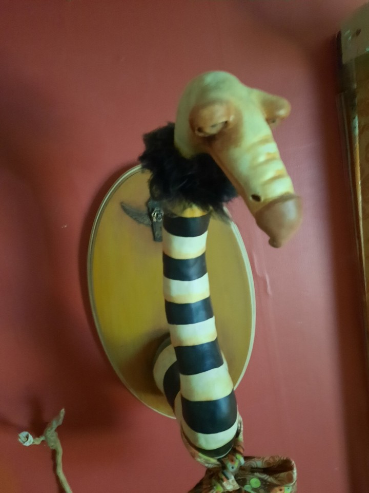 Faux TAXIDERMY Dodo Bird By Valency Genis Artist Wall Hanging Sculpture ...