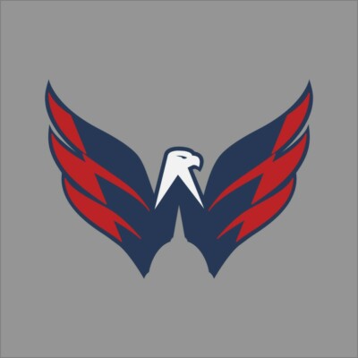 Washington Capitals #2 NHL Team Pro Sports Vinyl Sticker Decal Car ...
