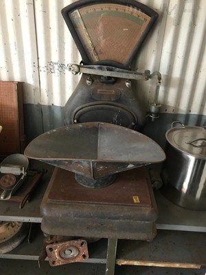 Scales - Scale Scoop Pan