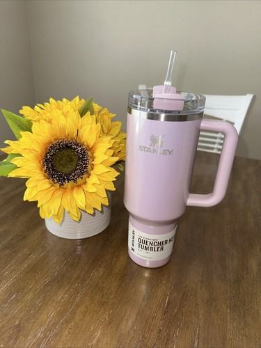 New Target Exclusive Stanley 40oz Aster | eBay