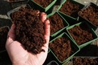Coconut Coir Powder 100% Organic Coco Husk Dust Plant Growing Fiber Eco ...
