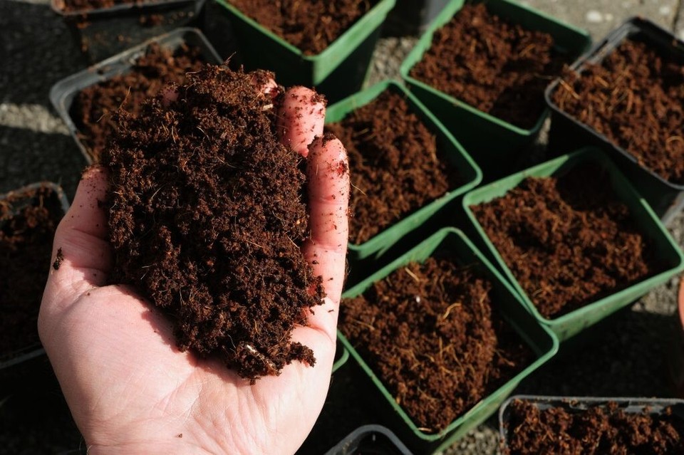 Coconut Coir Powder 100% Organic Coco Husk Dust Plant Growing Fiber Eco ...