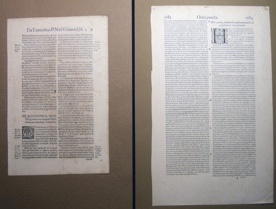 Collection Examples of Printing Single Leaves Various Publications ...