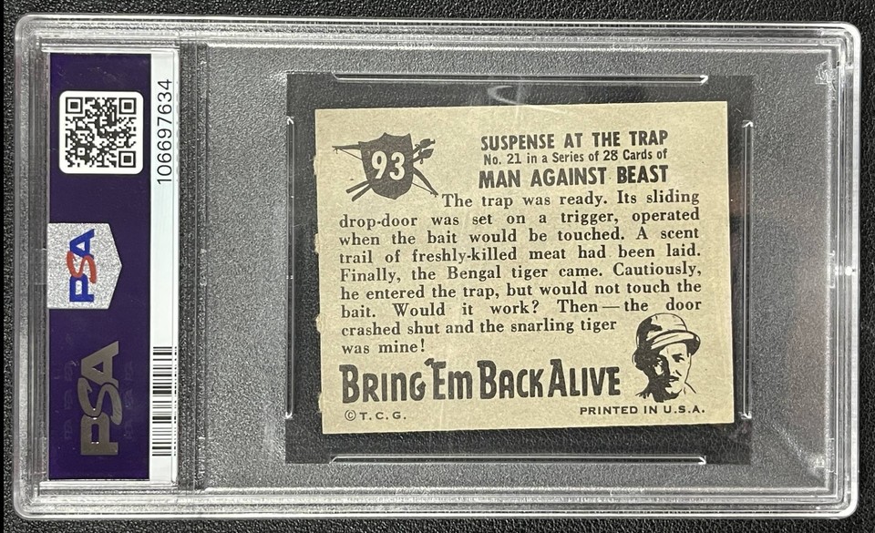 1950 Topps Bring 'Em Back Alive Suspense at the Trap #93 PSA 8 - Pop 1 ...