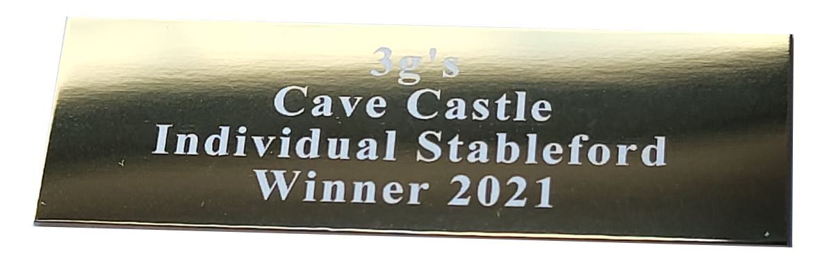 LASER ENGRAVED SELF-ADHESIVE TROPHY PLAQUE CHOICE OF 5 COLOURS, AWARD ...