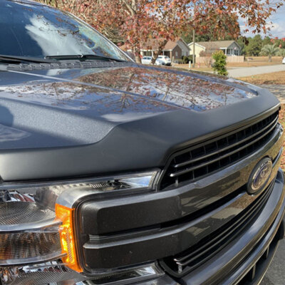 2015-2020 Ford F150 BUG SHIELD Bug Shield Guard Low Profile Matte ...