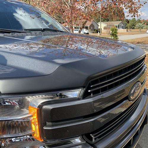 2015-2020 Ford F150 BUG SHIELD Bug Shield Guard Low Profile Matte ...