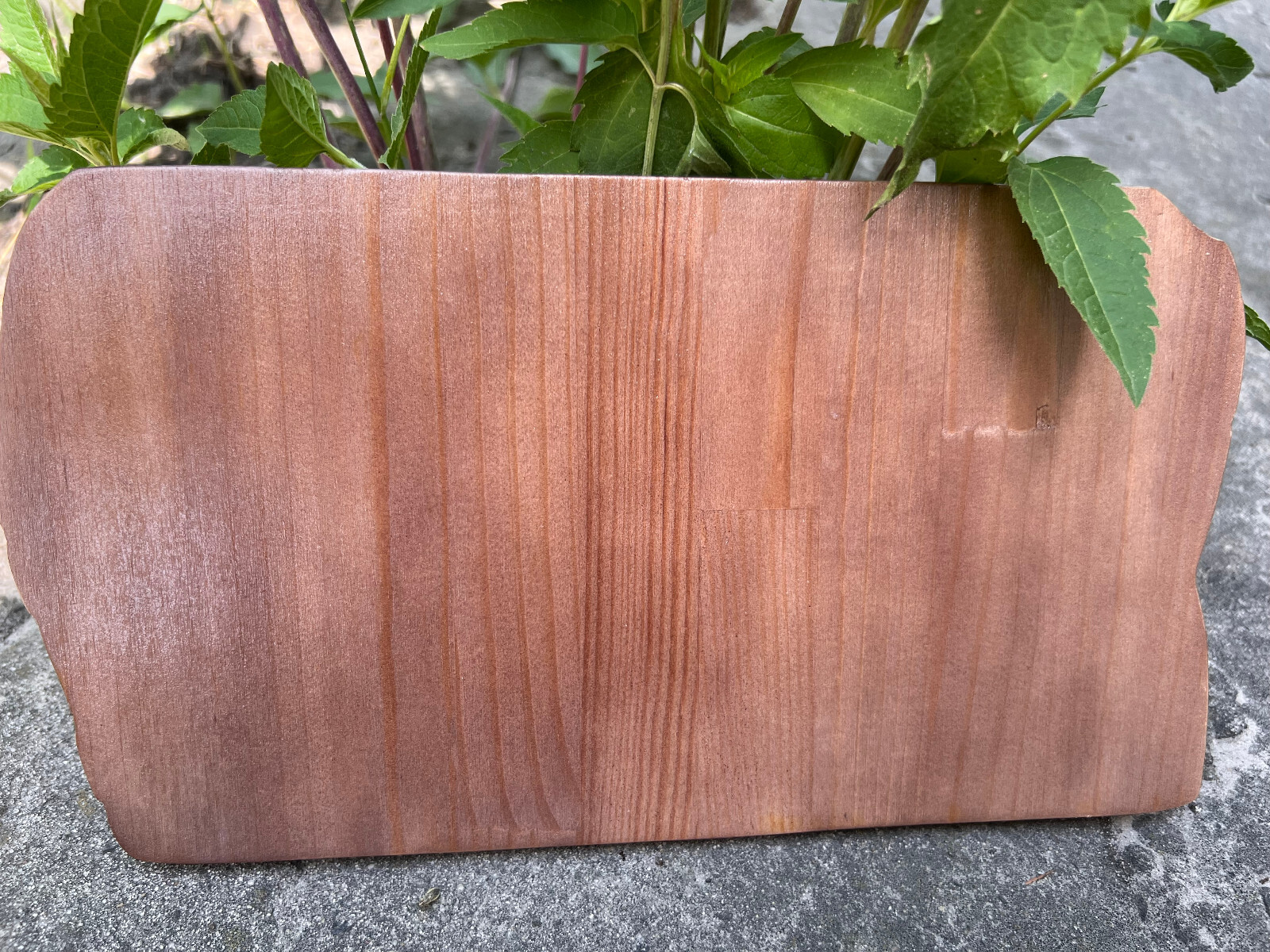 Greco-Roman Wrestling Wood Carving Multicolor Picture Woodworking ...