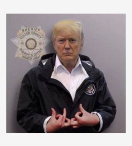 Donald Trump Mug Shot Throwing up "BLOOD" Bumper Sticker, Car Window ...