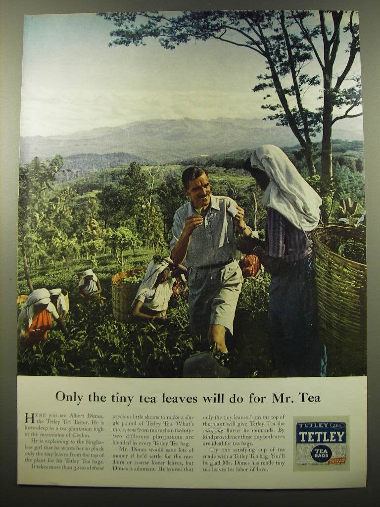 1959 Tetley Tea Ad - Only the tiny tea leaves will do for Mr. Tea ...